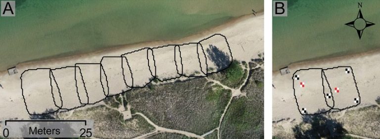 Can Apple iPhone LiDAR Be Used in Coastal Monitoring? | PLABS.ID ...